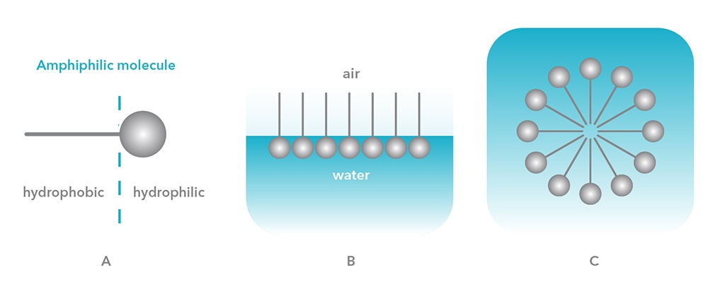 Critical Micelle Concentration | Measurements